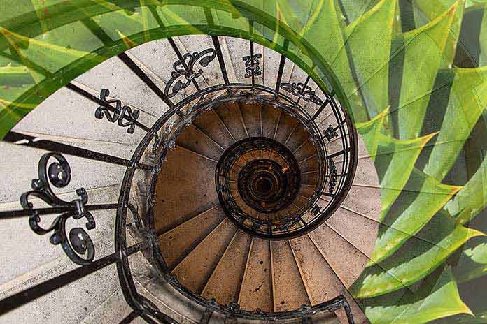Biomimicry | Inspiring Nature for Architecture - Archeetect